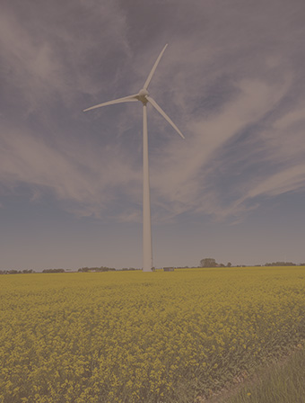 Coeli Circulus Micro & Small Cap - Coeli.com